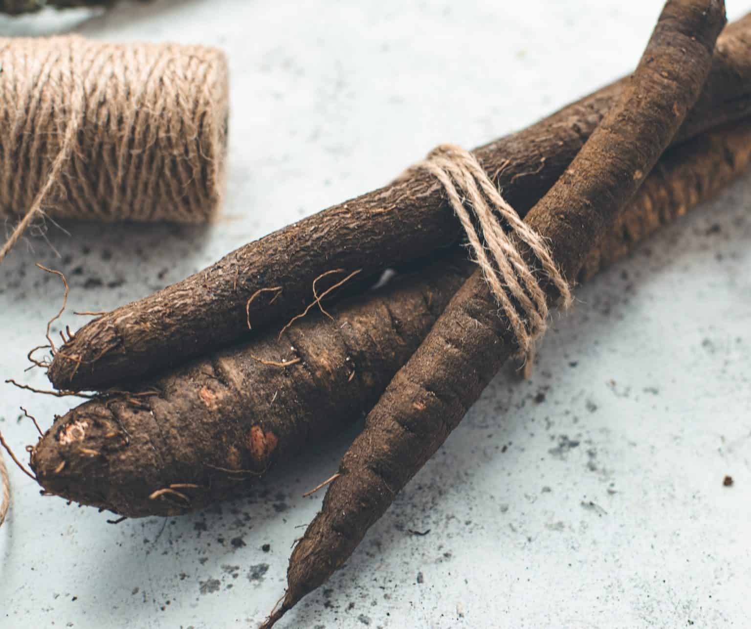 How to Cook Salsify | Sweeter Than Oats