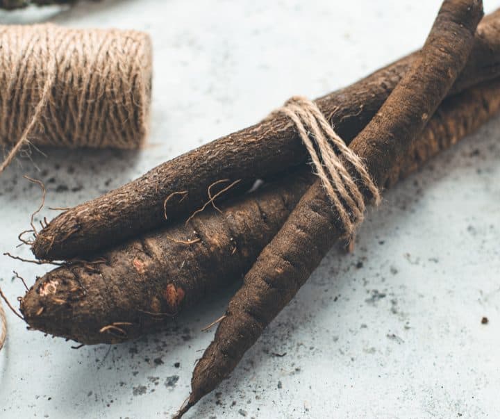 How to Cook Salsify | Sweeter Than Oats